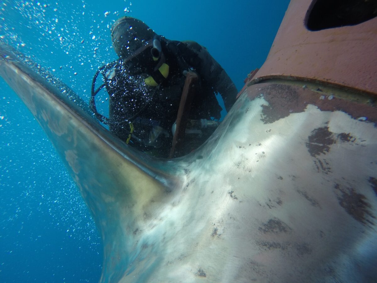 Subsea Solutions – Commercial Diving Company